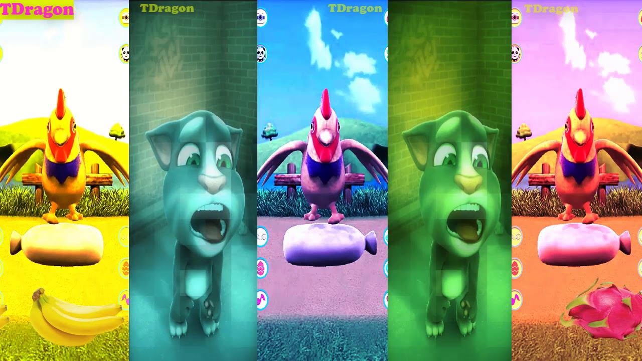 Talking Chicken VS My Tom Cat Colors Reaction Android Gameplay - YouTube