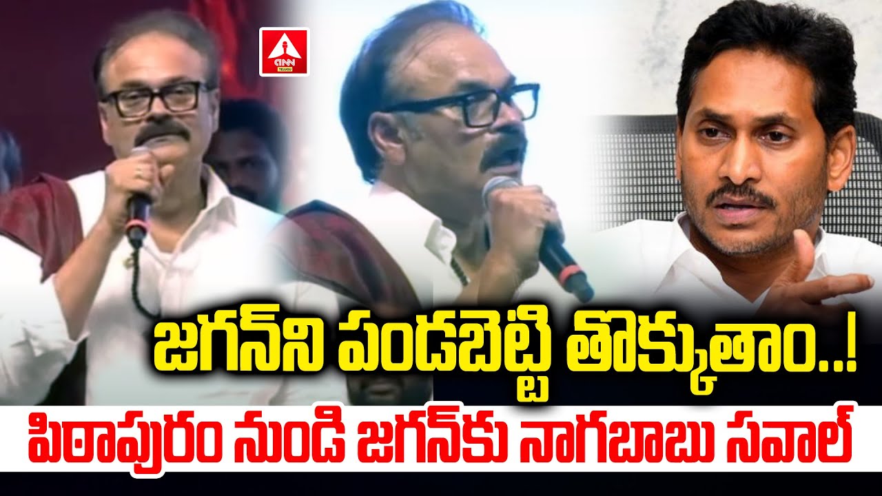 జగన్ ని పండబెట్టి తొక్కుతాం..! | Nagababu Bold Comments ON YS Jagan ...