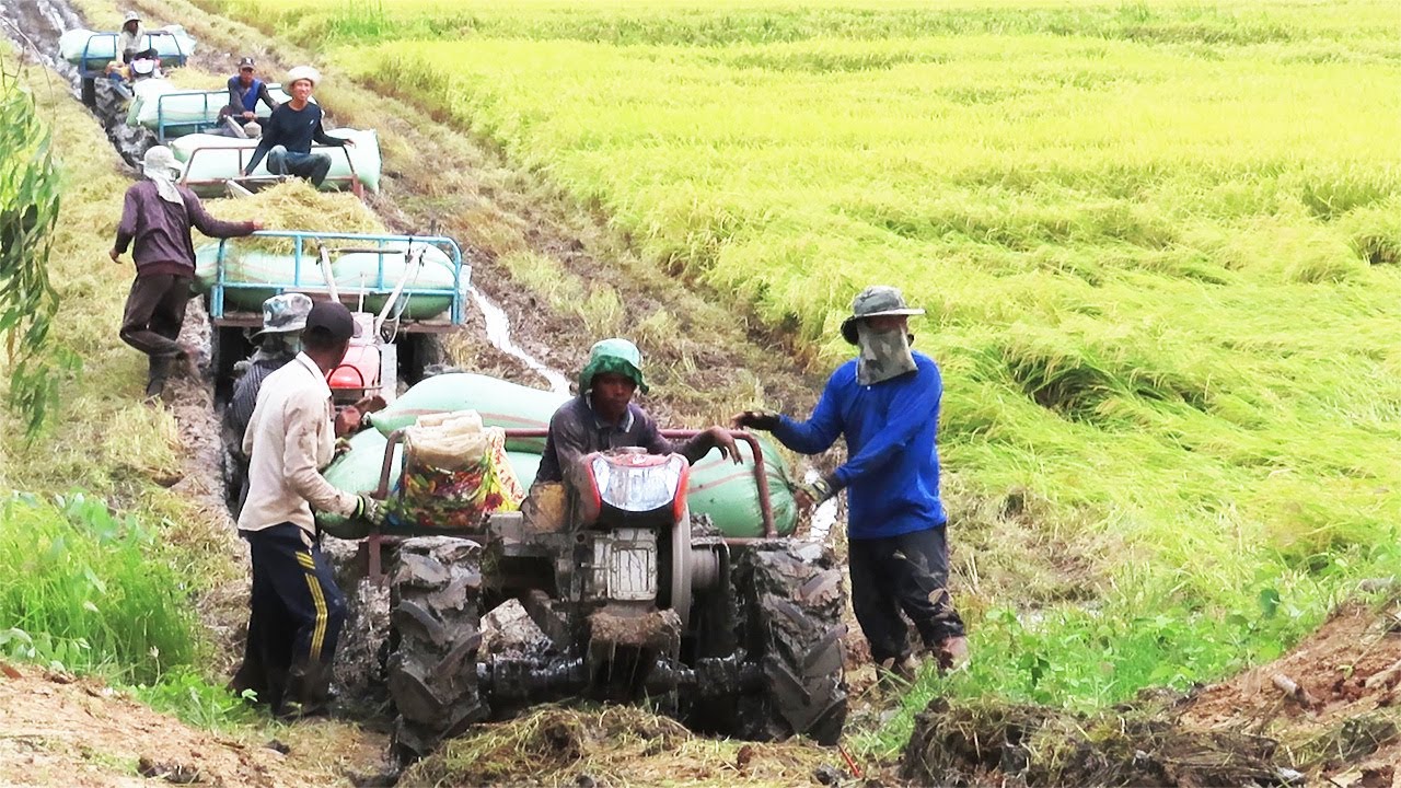 Tractors transport in mud, Video Tractors, Tractors stuck in deep mud ...