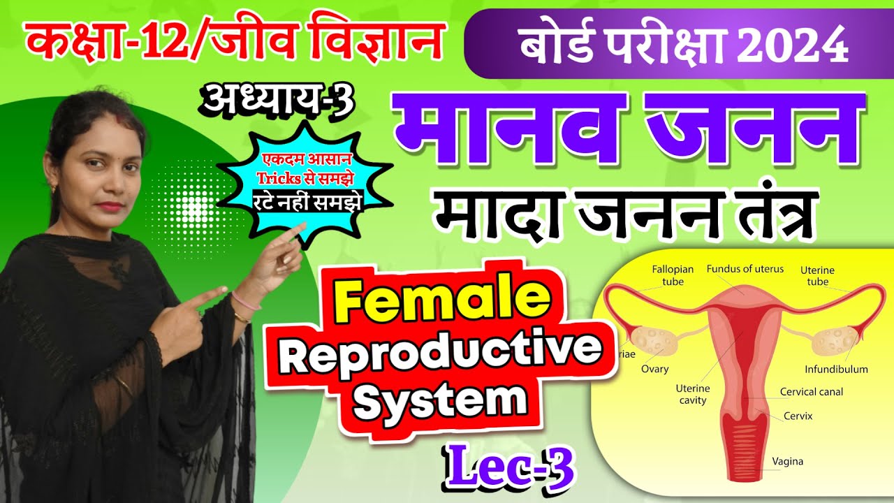 मादा जनन तंत्र{Female Reproductive System} | Ch-3-मानव जनन(Human ...