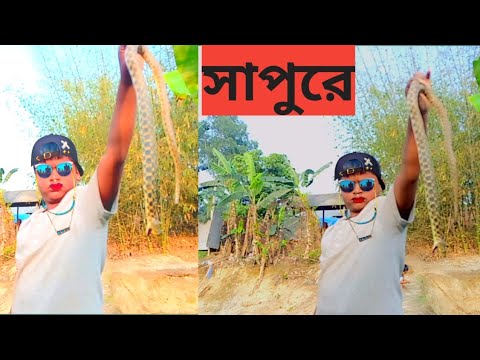 সাপ । জাস্ট বিনোদন মুলোক ভিডিও ৳ sap . just binodon - YouTube