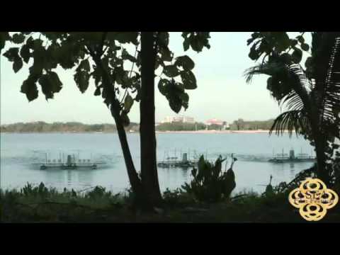 Cemetery of Splendour - Showing at I-SEA Film Festival