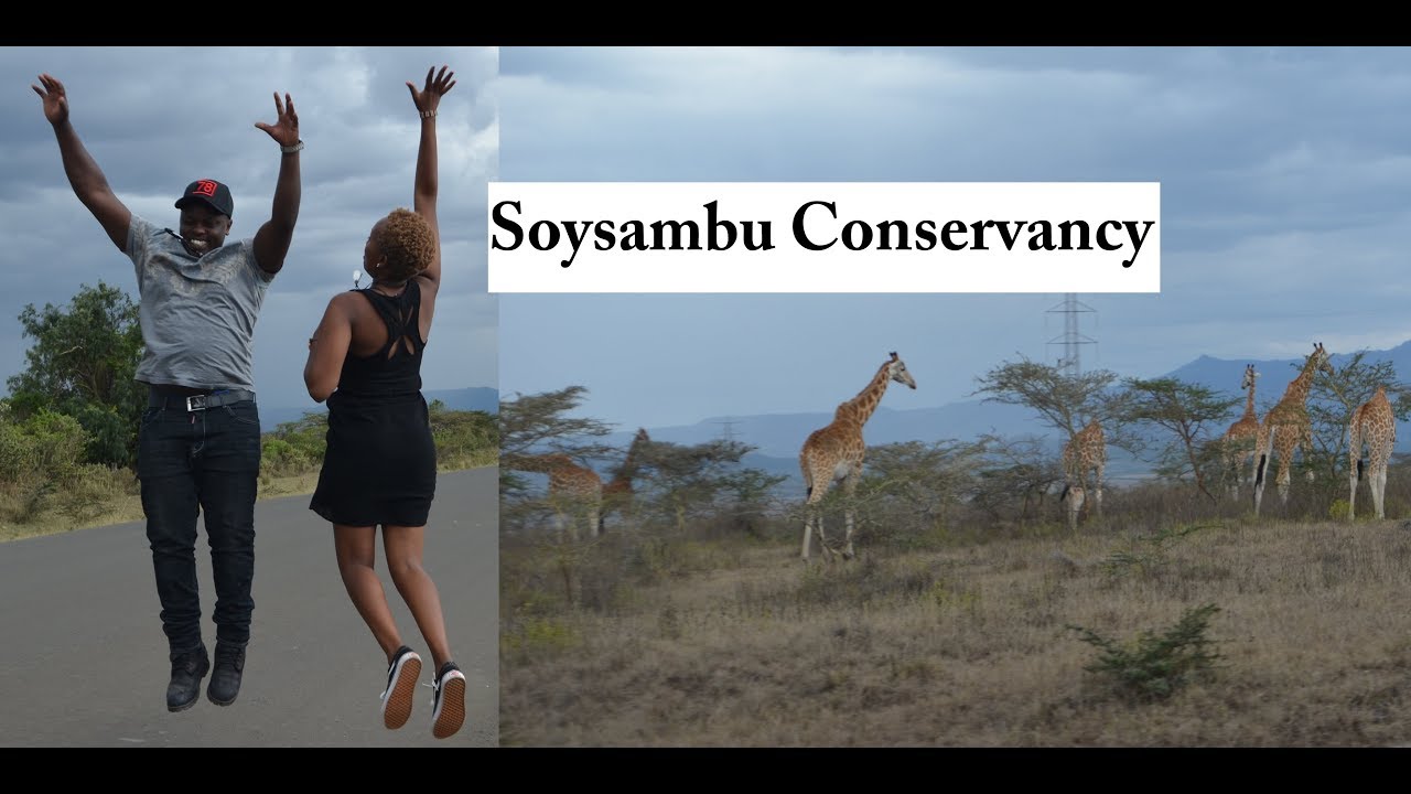Inside the Soysambu conservancy Nakuru with Friends - YouTube