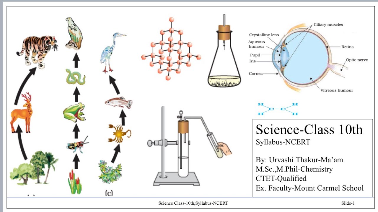What is Combination Reaction? Create Chemistry with Chemistry! - YouTube