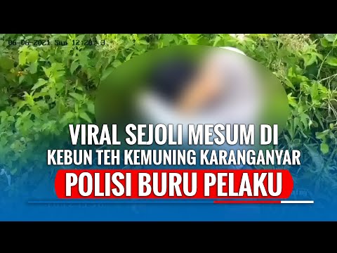Dimabuk Cinta, Pasangan Ini Nekat Mesum di Kebun Teh, Adegan Terekam CCTV, Polisi Kini Buru Pelaku
