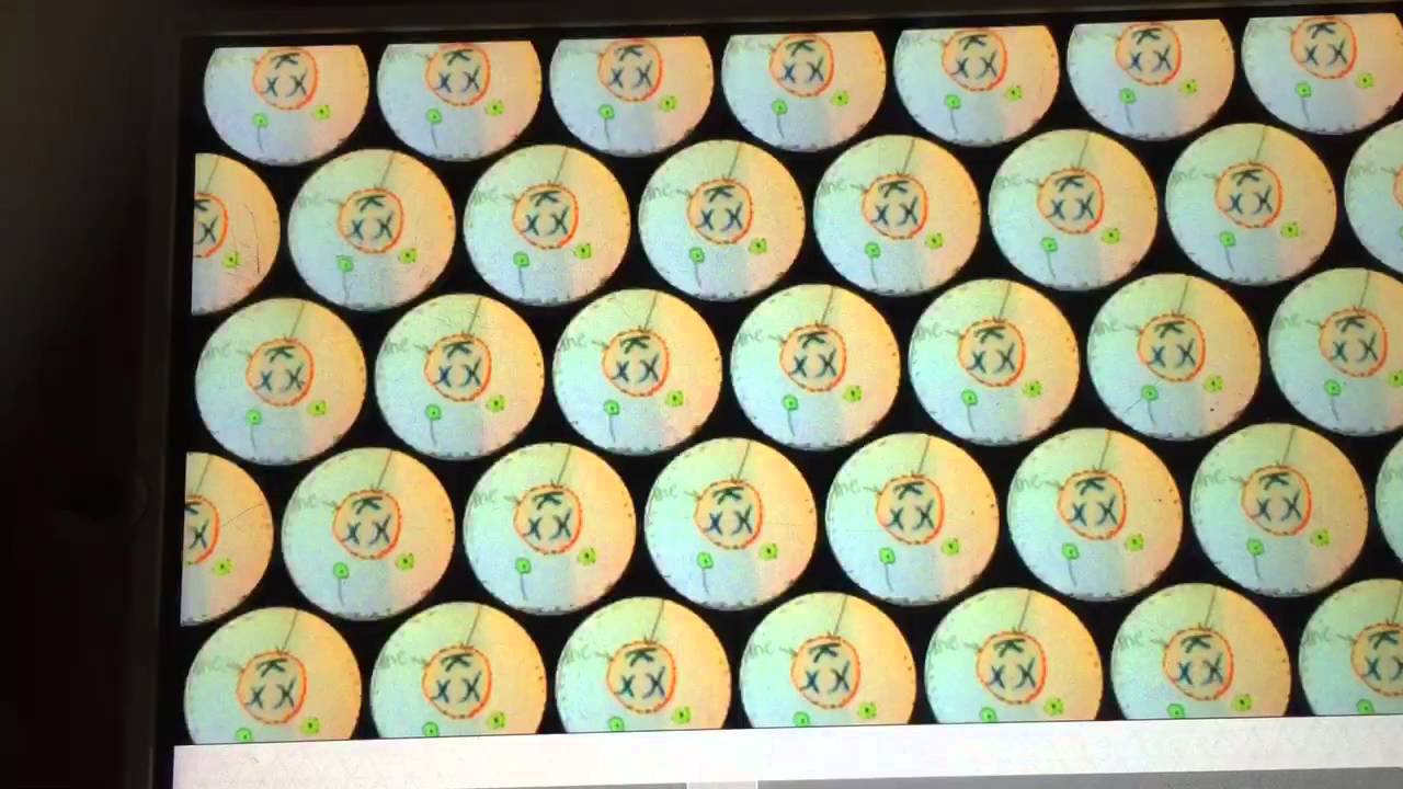 Trim F466a466 642c 45b9 834a 3844d747a941 - Youtube