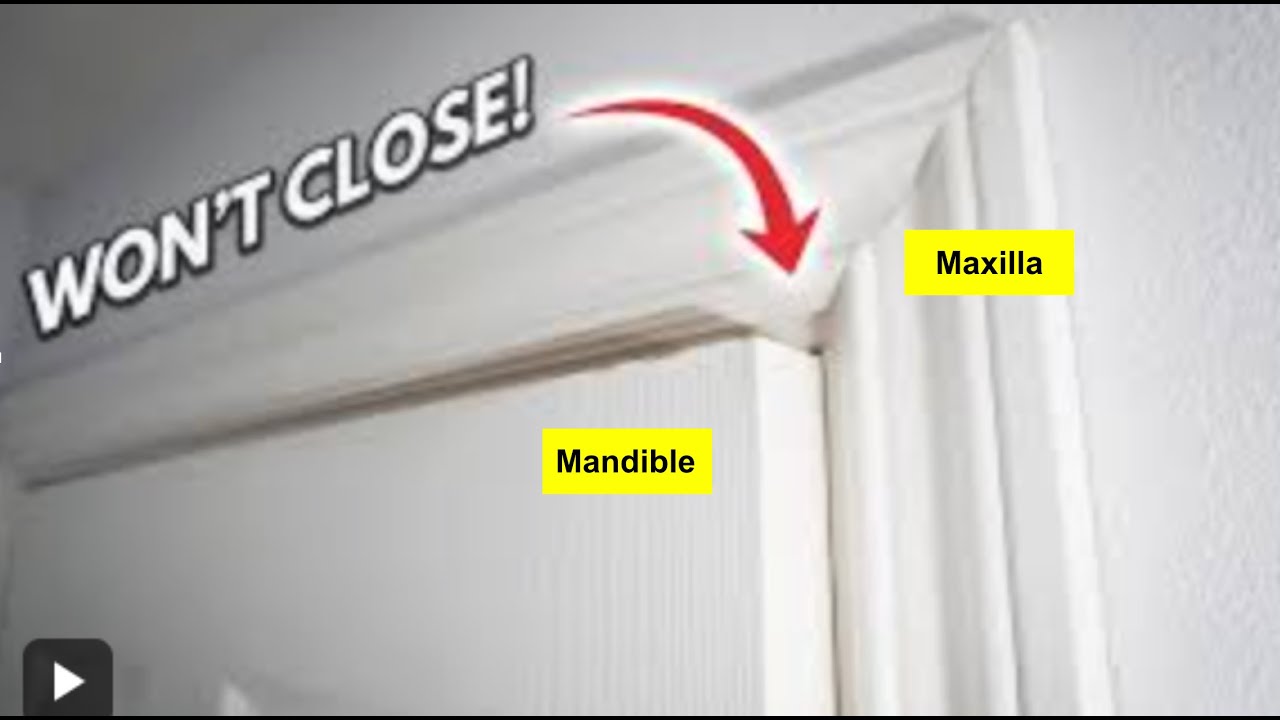 Envelope of Function Restriction - 101 - YouTube