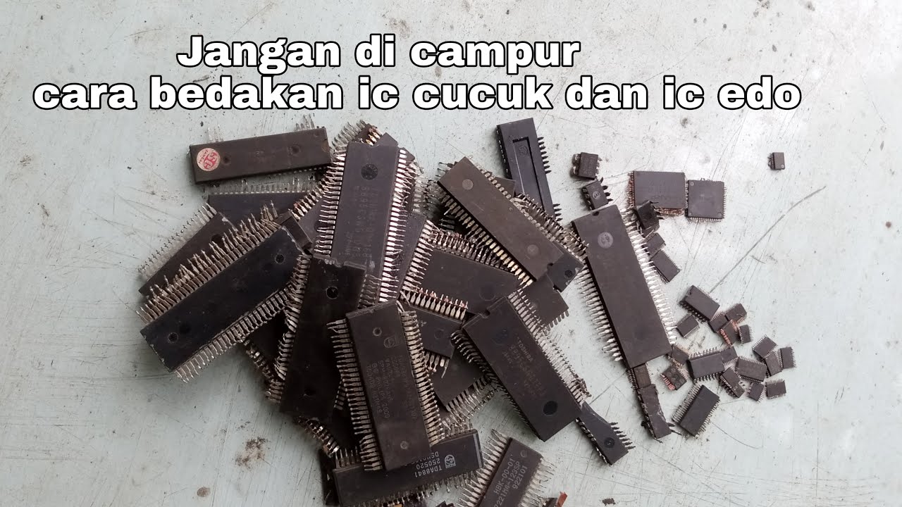 ROSOK MAHAL ‼ cara membedakan IC cucuk dan IC edo untuk Pemula - YouTube
