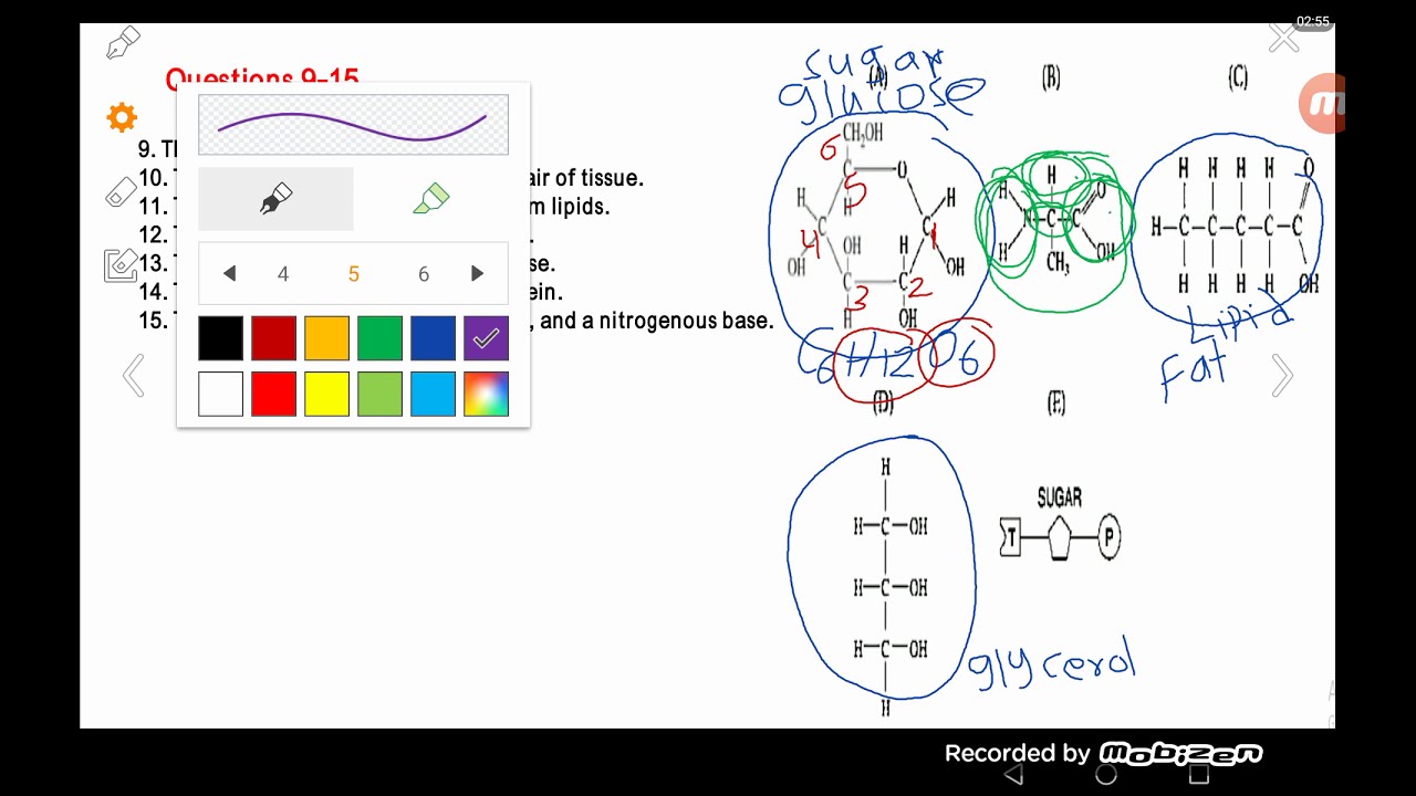 SAT Biology Biochemistry Part 2 - YouTube