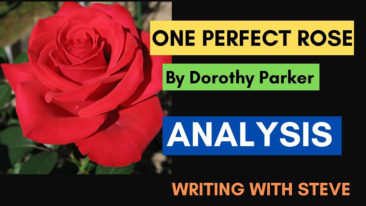 One Perfect Rose by Dorothy Parker - Poem Analysis - YouTube