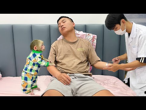 Cubis monkey worried when seeing doctor treating sick dad!