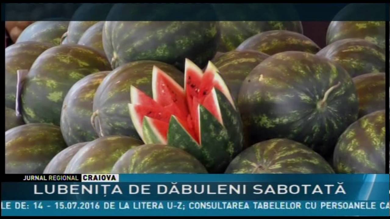LUBENIŢA DE DĂBULENI SABOTATĂ - YouTube