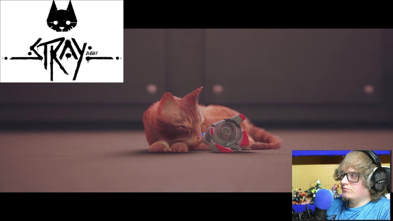 Stray (Final Part) - YouTube