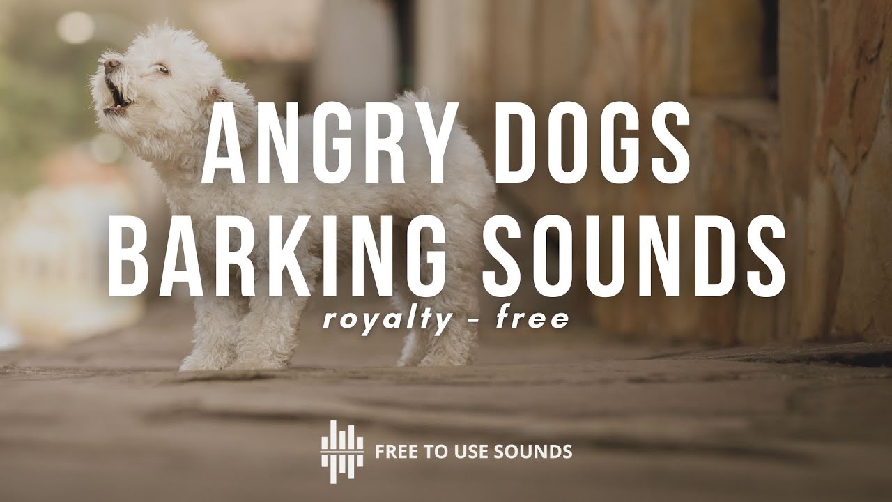 Angry Dogs Barking Sounds - YouTube