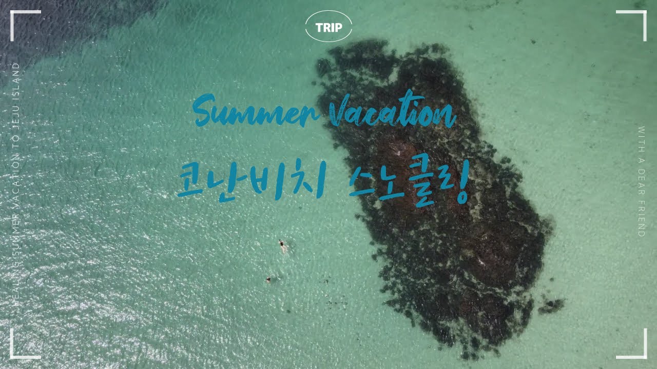 제주에서 스노클링하기 / 코난비치(Snorkeling in Jeju Conan Beach) Mavic Air2 - YouTube