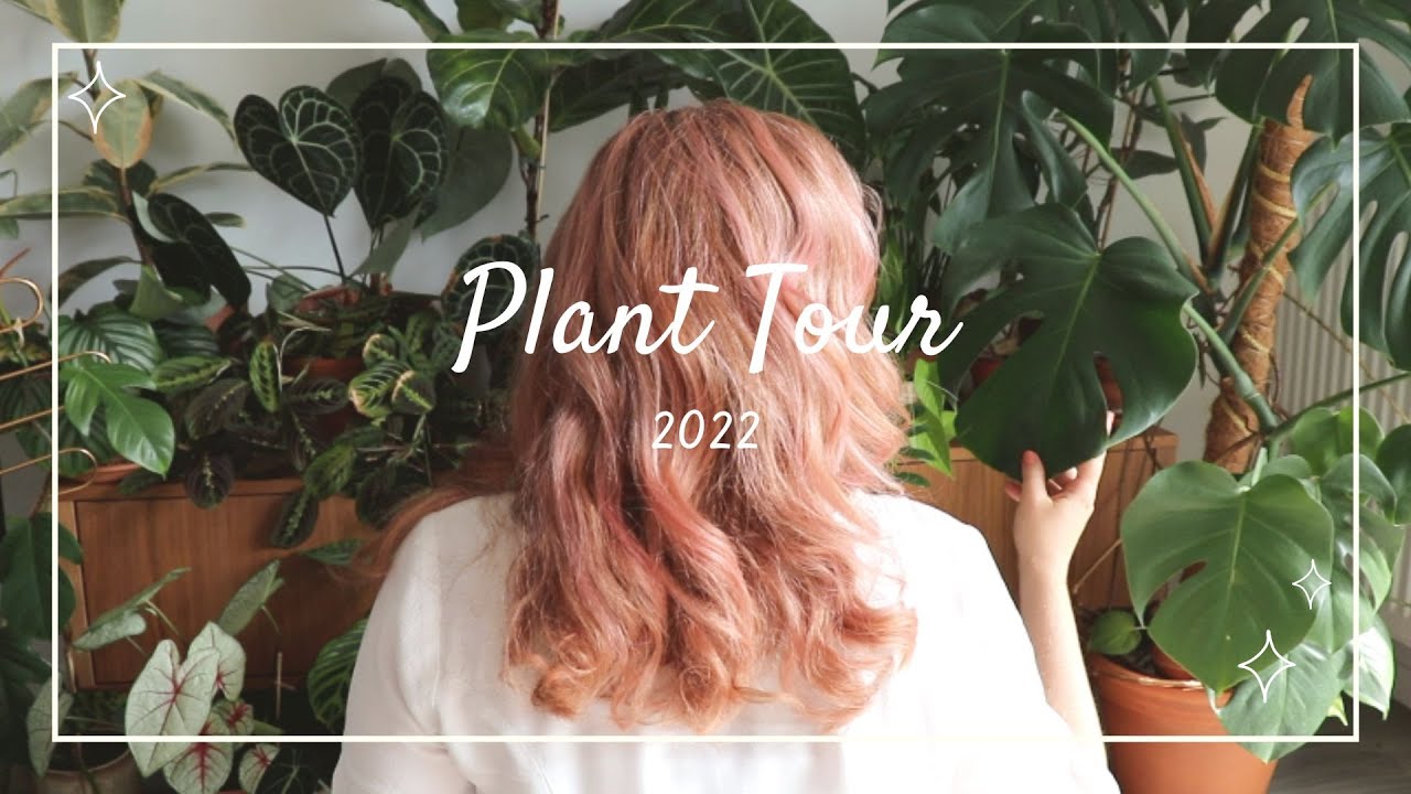 Plant Tour | Rentrée 2022 🍃 - YouTube