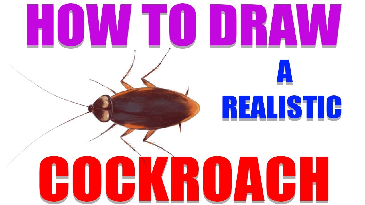 HOW TO DRAW A REALISTIC COCKROACH || Cockroach ka drawing kaise banate ...