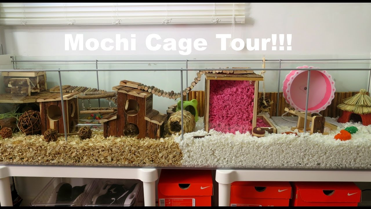 Mochi Cage Tour!!! - YouTube