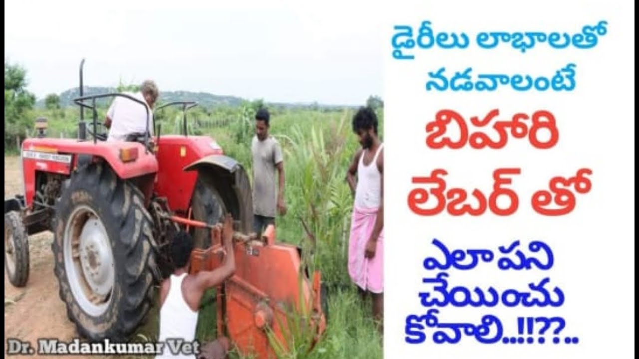 How to take Work efficiently from Bihari Labour in Dairy Farms Telugu ...