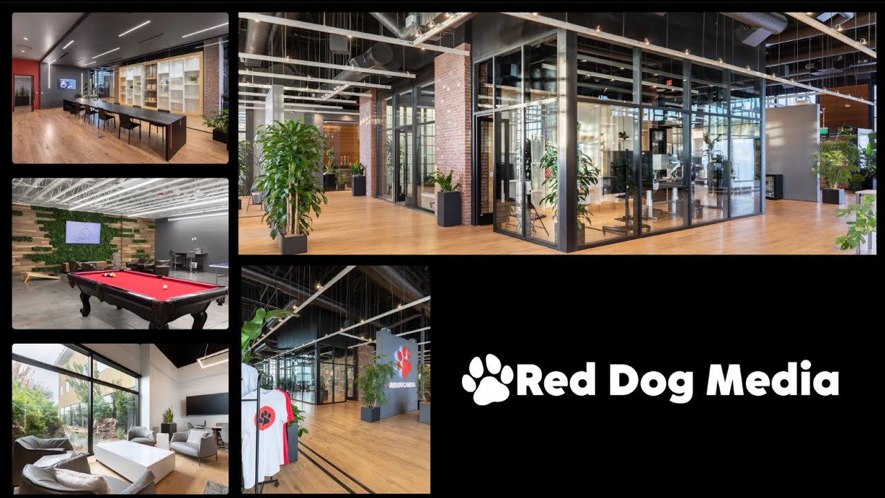 Inside Red Dog Media: Our Journey, Your Opportunity (Expanded Version ...