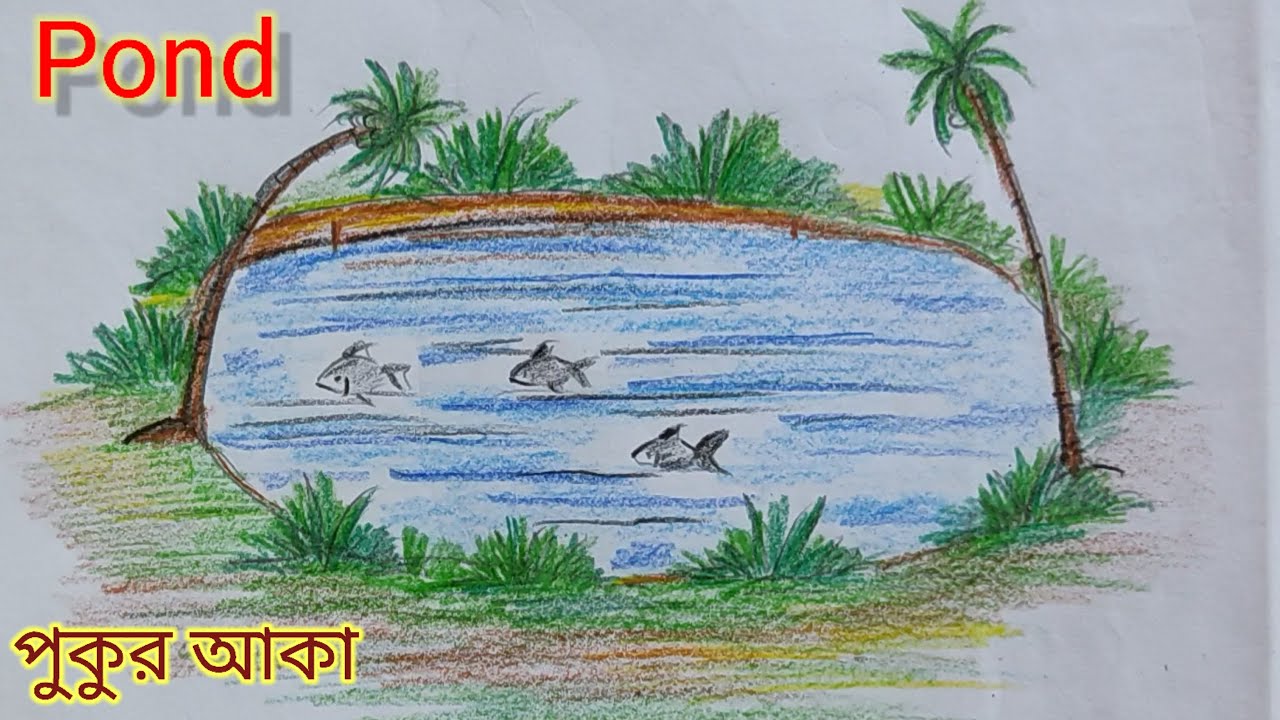 pond drawing easy/house of fish/পুকুর আকা সহজে/পুকুর - YouTube