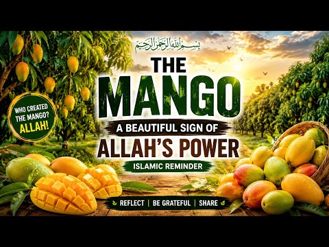 The Mango: A Beautiful Sign of Allah’s Power | Islamic Reminder | English Speech
