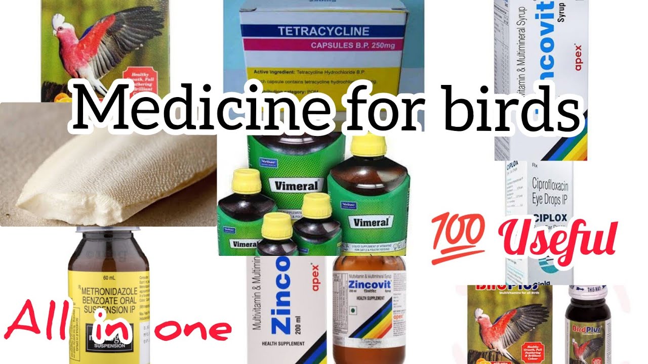 Medicine for birds and All in one 🤩🕊️ - YouTube