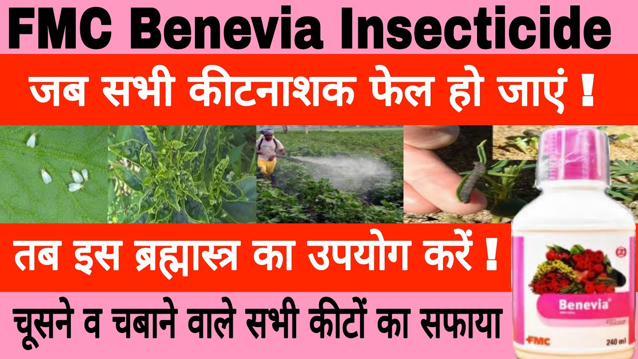 benevia insecticide | benevia fmc | benevia insecticide dupont ...