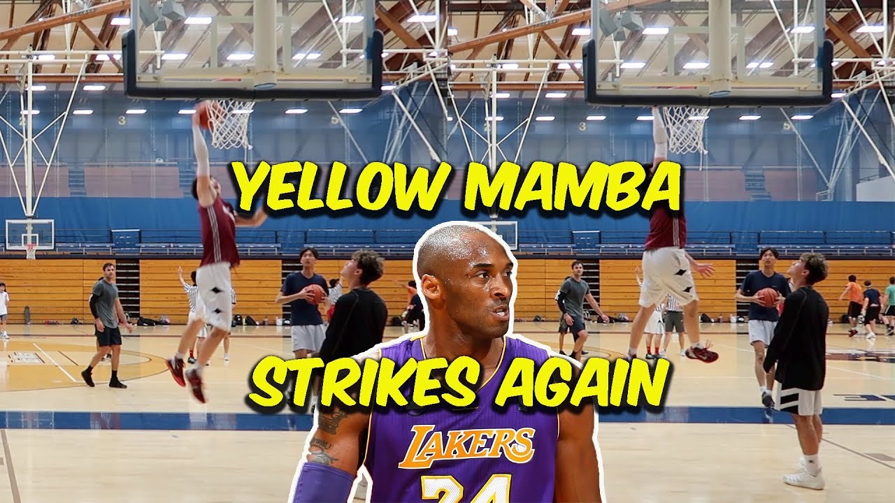 Yellow Mamba Dominates Intramural Basketball - YouTube