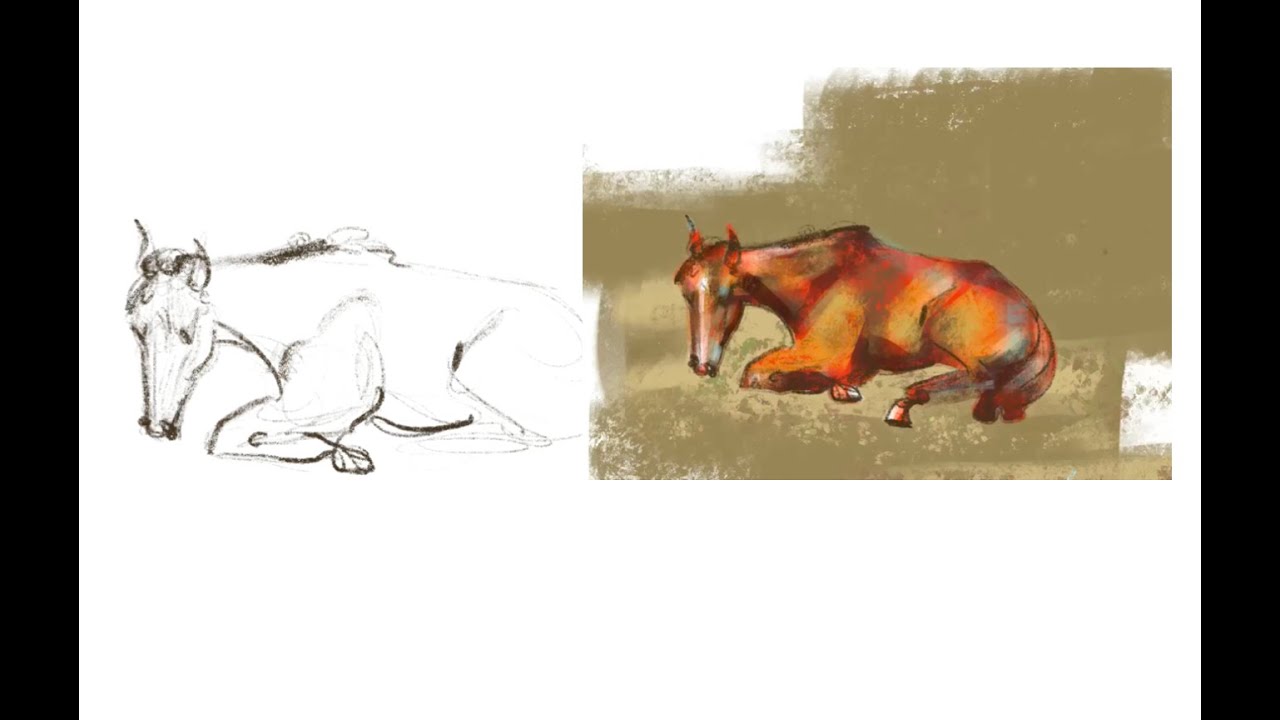 Process of drawing a horse - YouTube