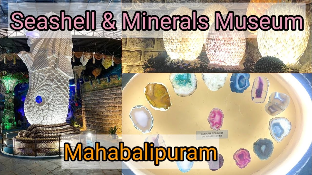 Seashell and Minerals Museum | Mahabalipuram seashell museum - YouTube