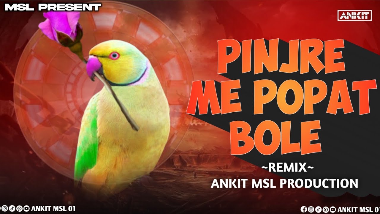 पिंजरे में पोपट बोले रीमिक्स | PINJARE ME POPAT BOLE | DJ DANCE MIX ...