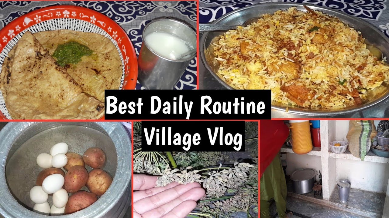 Best daily life in village ||Village vlog||Ranger family vlog - YouTube