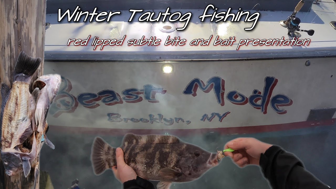 Winter Tautog fishing/Red lipped subtle bite - YouTube
