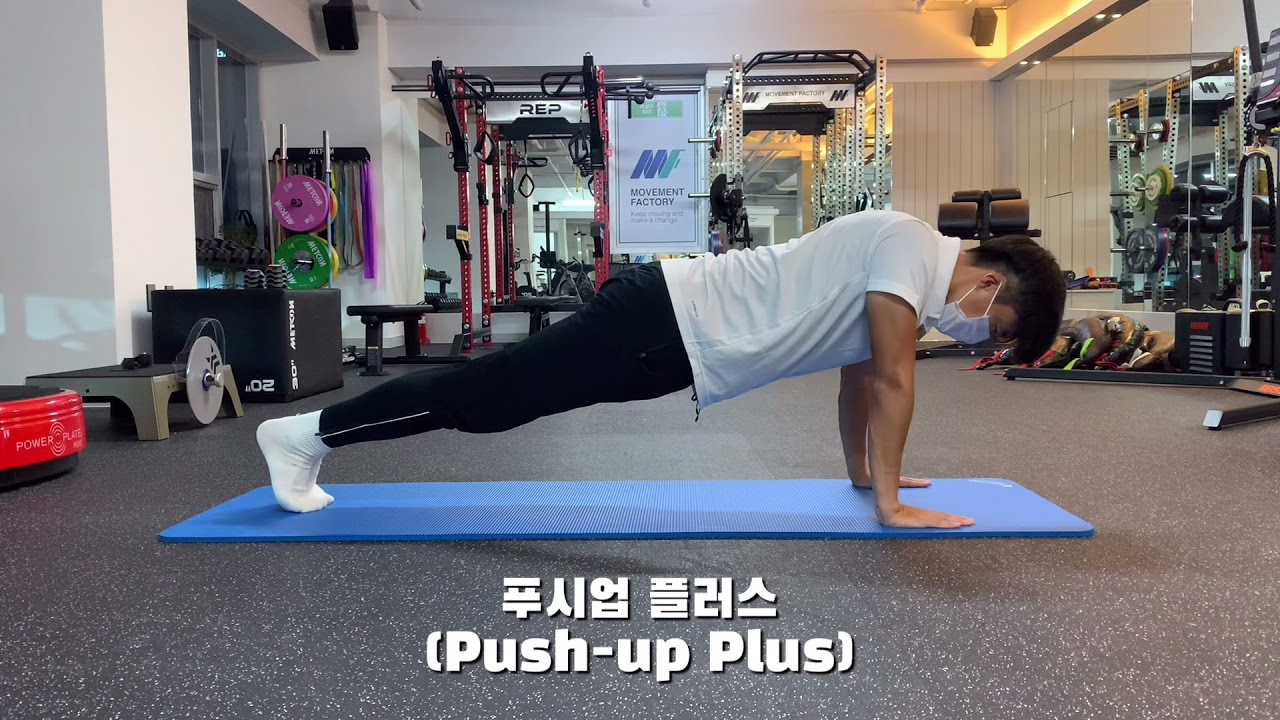 푸시업 플러스(Push-up Plus) - YouTube