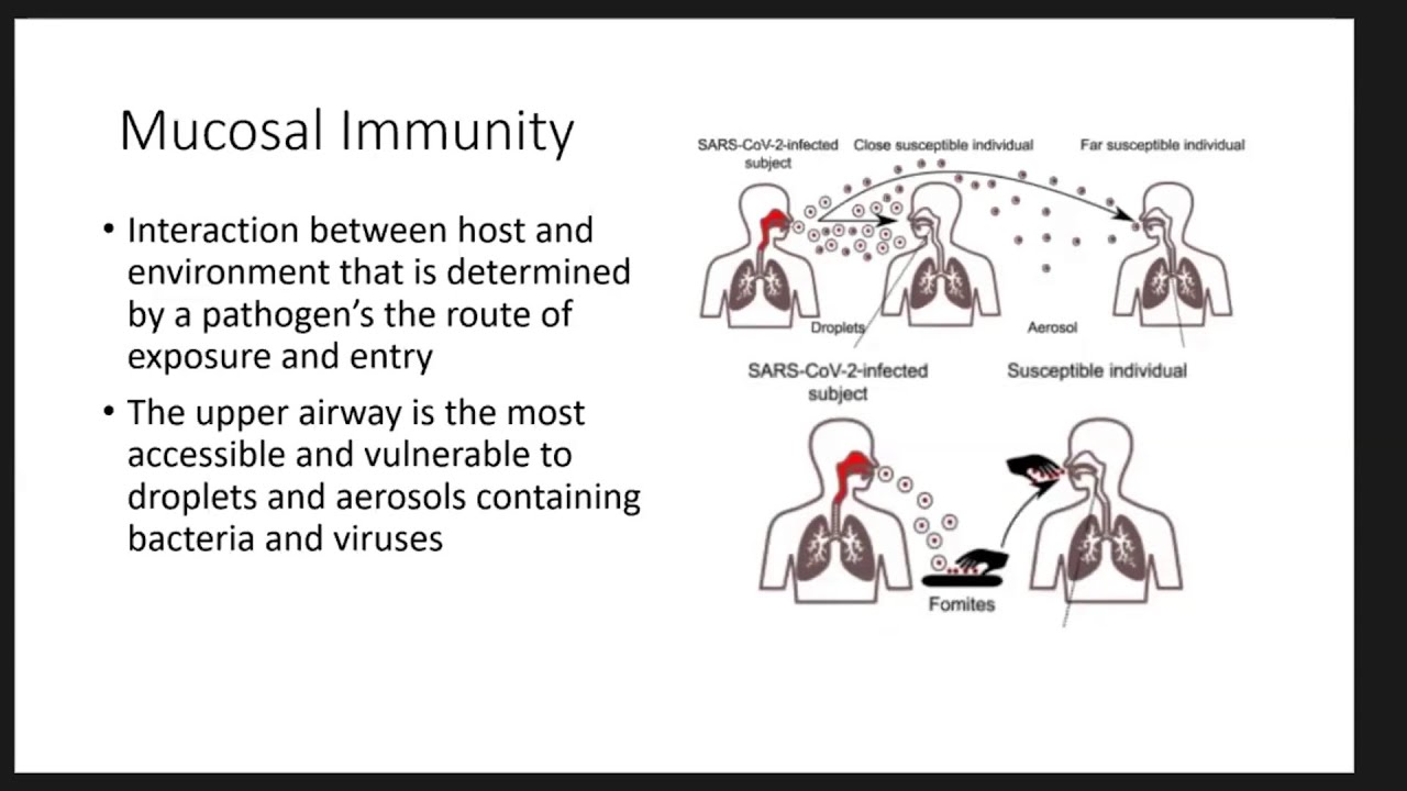 Immugen Pharma CEO Dr. Craig Travis, MD at Unlocking Vaccines 2021 ...