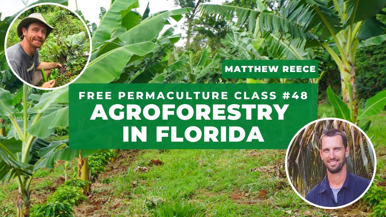 Free Permaculture Class #48 - Matthew Reece - YouTube