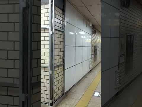 Sil Lim Station(230)-08 Video