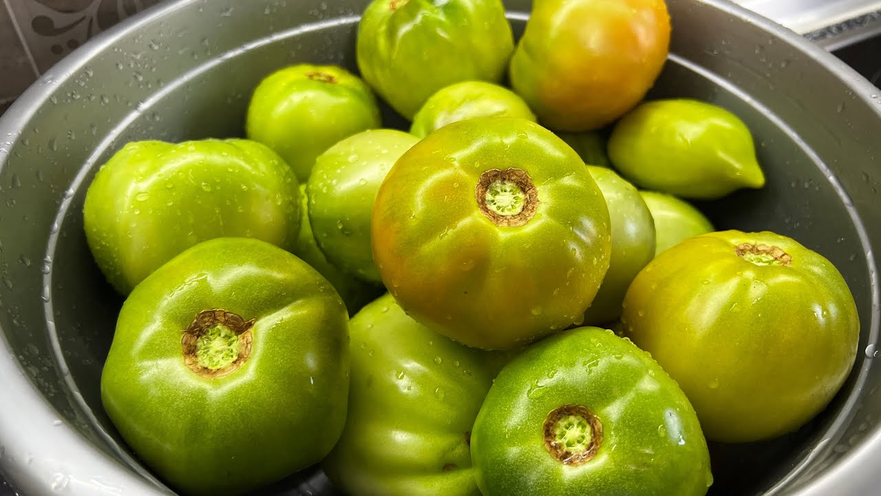 #DOMATE Jeshile turshi Bio pa konservanse 🤩 Receta e vjetër shum ...