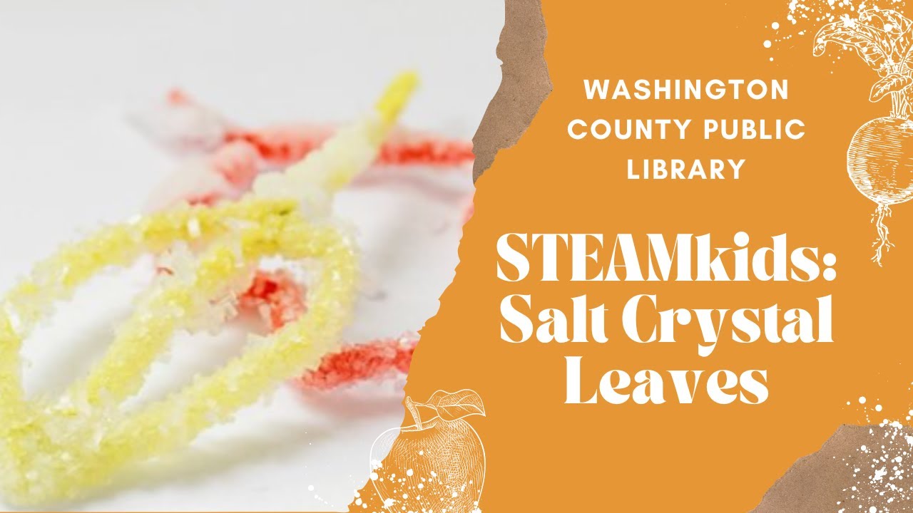 STEAMkids September Lesson: Salt Crystal Leaves - YouTube