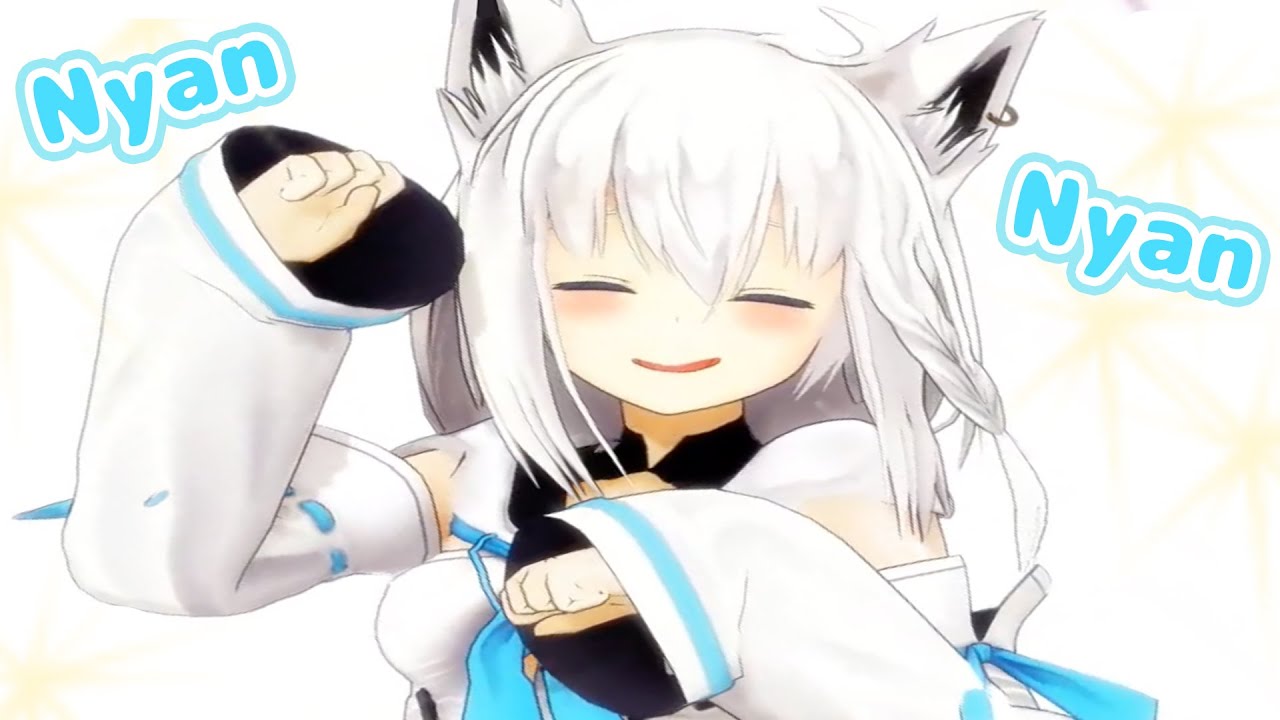 FUBUKI CUTE CAT - YouTube