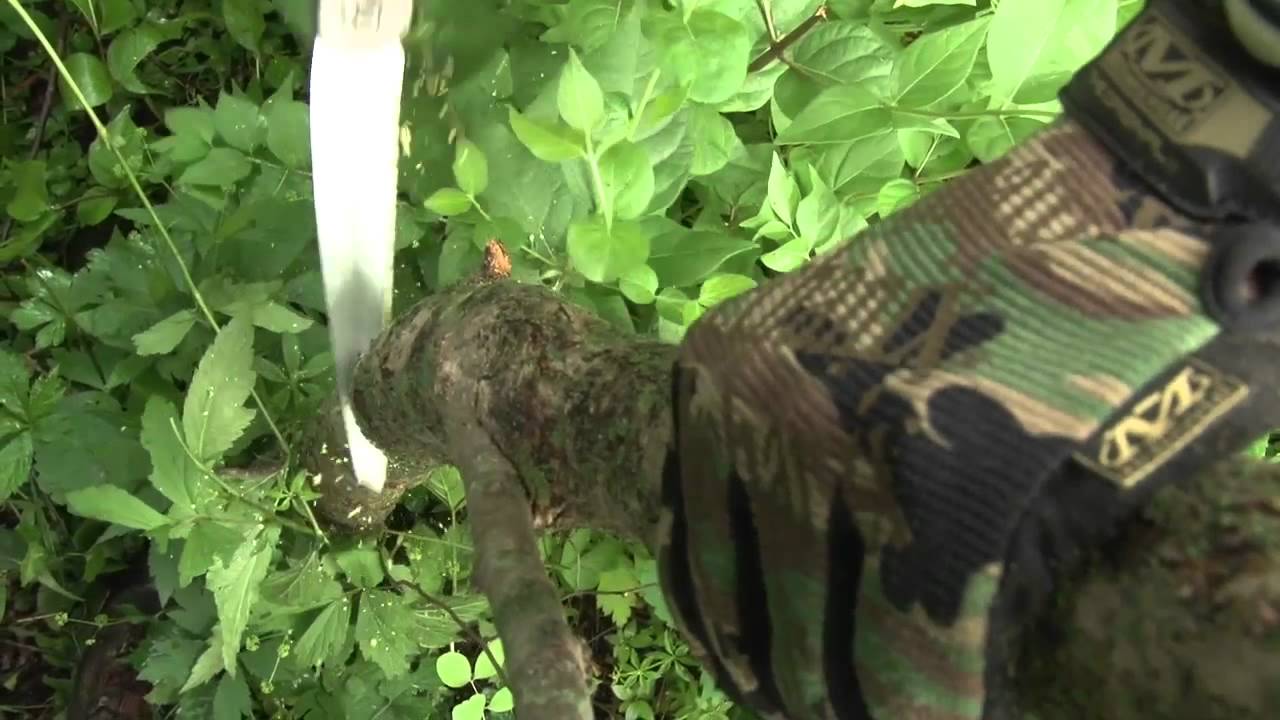 Wicked Tree Gear - Todd Pringnitz - hand saw - Bow Hunting - Deer ...
