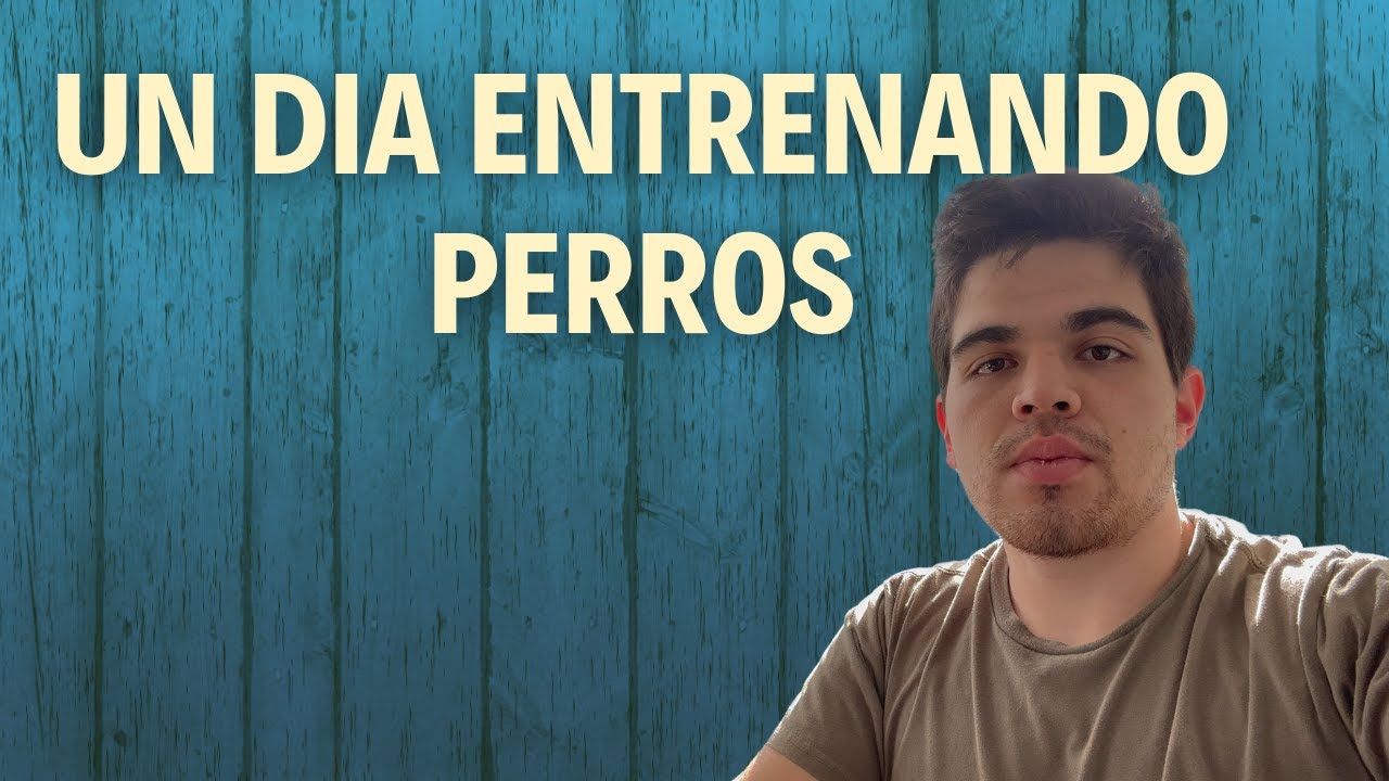 Entrenando multiple perros - YouTube