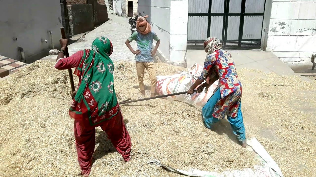 Village life in Punjab ( India) // Rural lifestyle in Indian villages ...