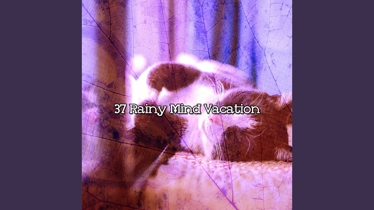 Rainfall Respite - YouTube