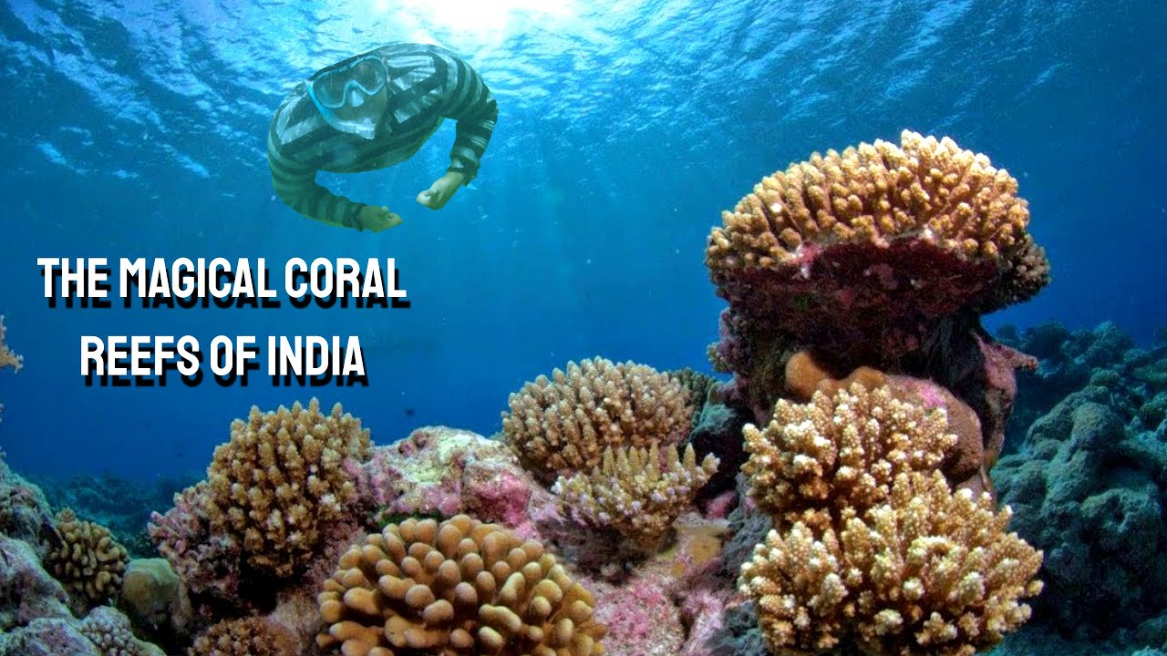 இந்தியா மற்றும் ஸ்ரீ லங்கா கடல் எல்லை - Visiting new island in India ...