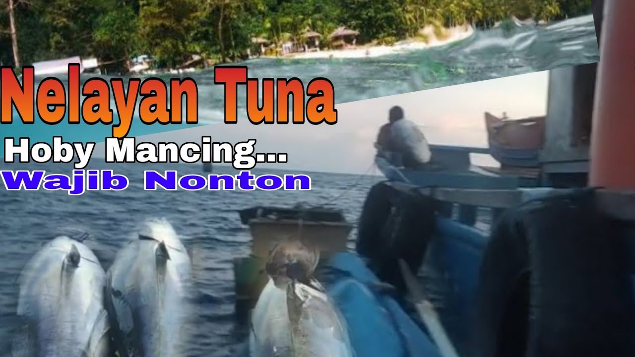 kehidupan nelayan tuna di laut - beginilah kisah para nelayan - YouTube