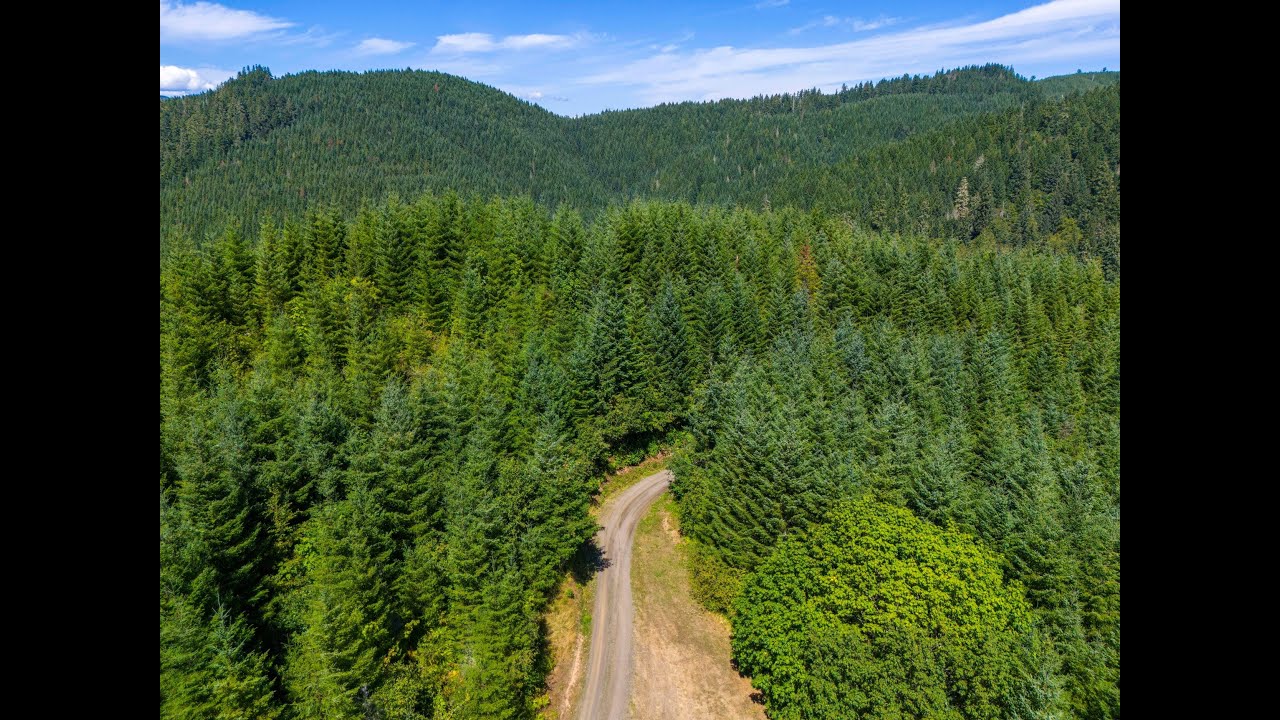 SOLD: High Pass Tree Farm - Lane County, Oregon - 150 ± Acres - YouTube