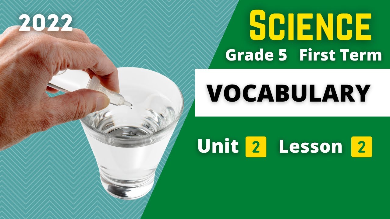 SCIENCE | Grade 5 | Vocabulary | Solutions | Unit 2 - Lesson 2 - YouTube