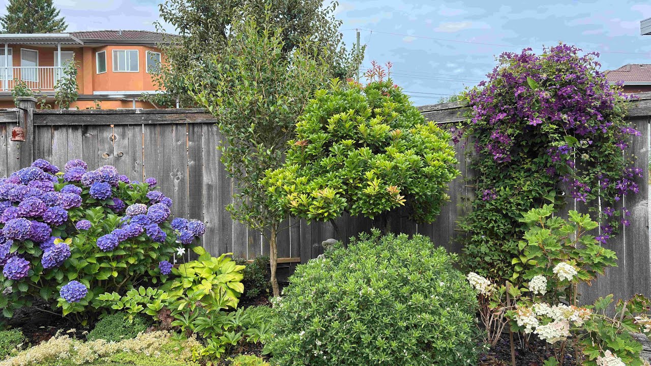 Garden Tour, Back Yard (4K) July 20, 2025 - YouTube